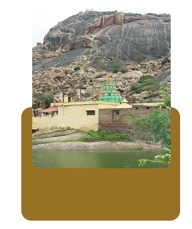 Raja Buses | Bus Booking | Reasonable Bus Tickets